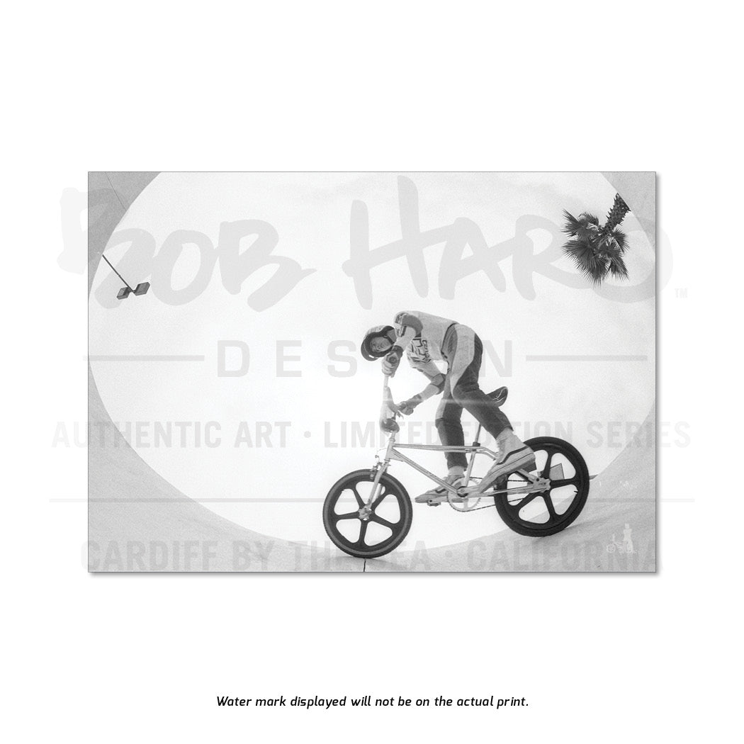 Bob Haro Art Print 024 – Bob Haro Design
