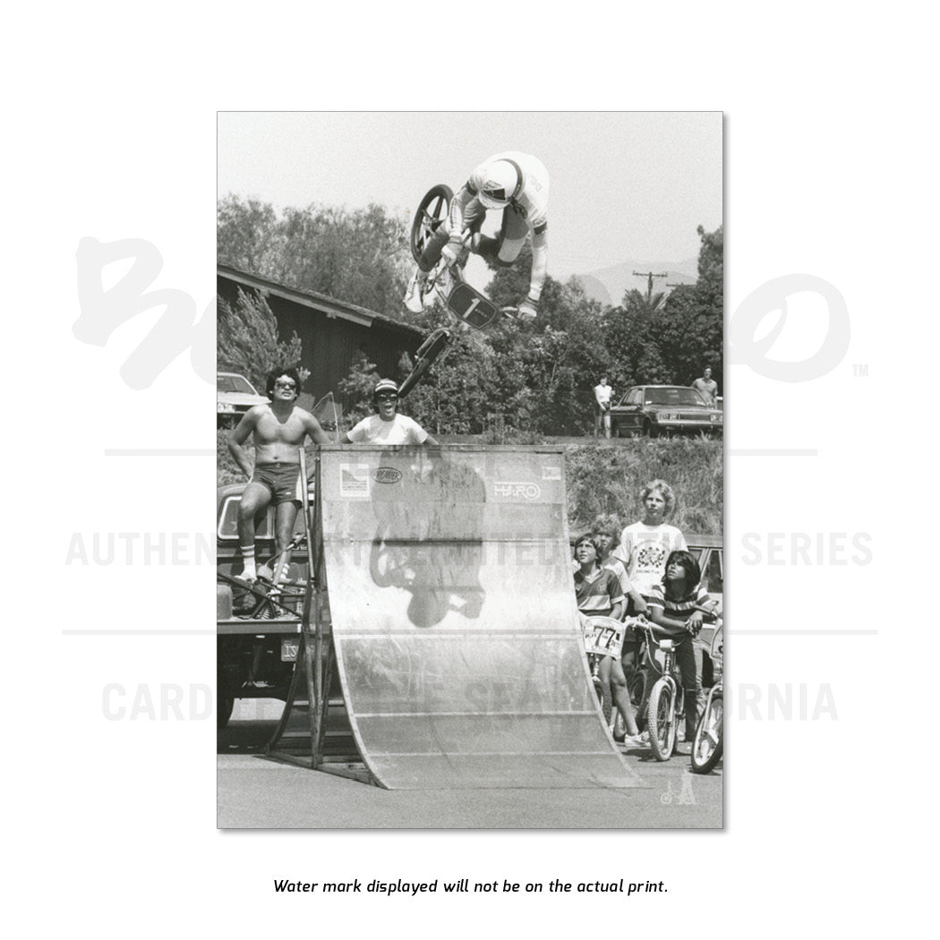 Bob Haro Art Print 049 – Bob Haro Design